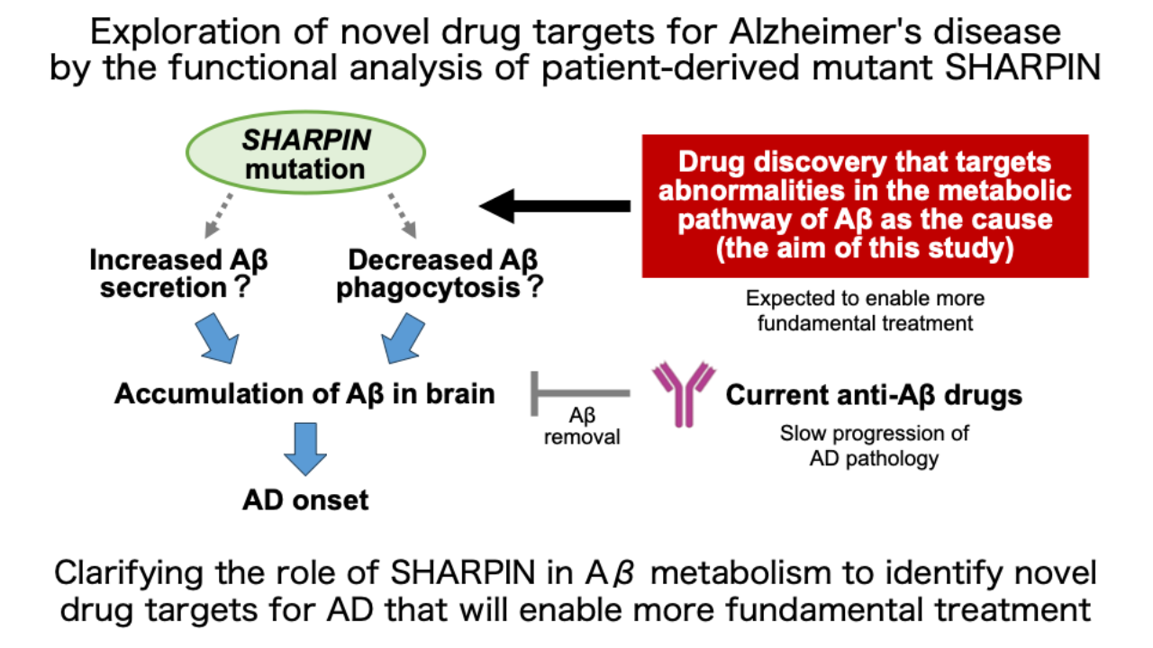 Exploration of novel drug targets for Alzheimer's disease by the ...