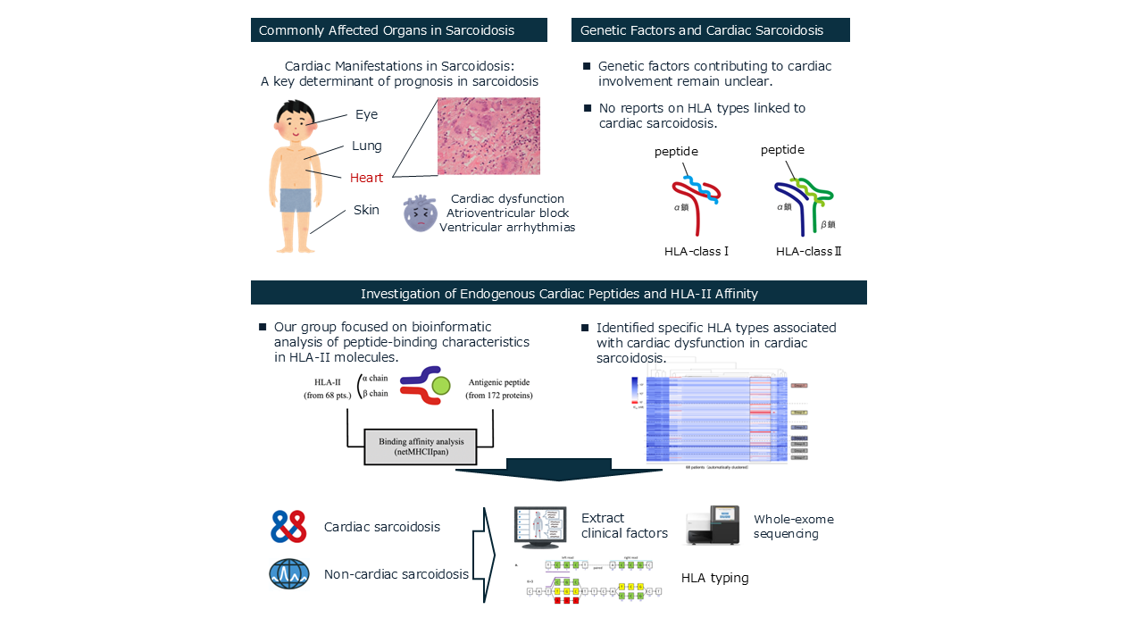 The Relationship Between Genetic Factors and the Development of Cardiac ...
